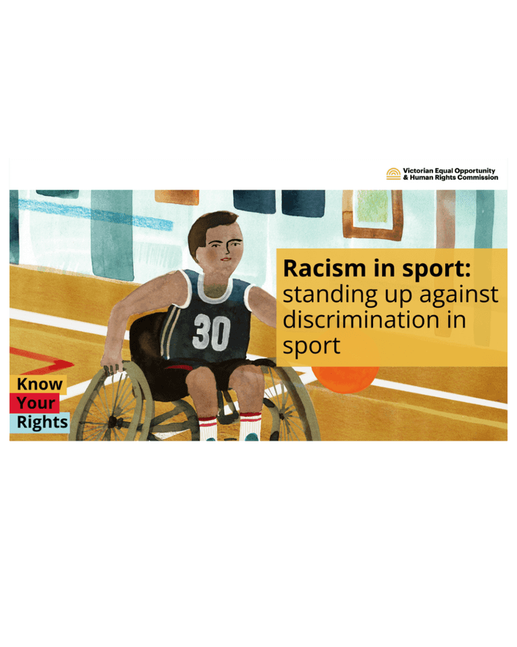 Racism in sport: standing up against discrimination in sport ...